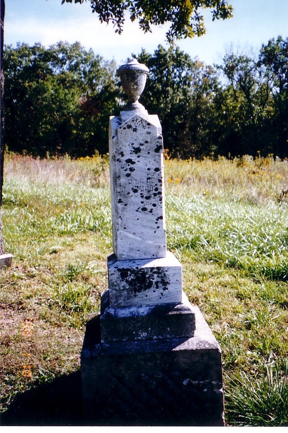 Geneaogical Records for Holzer et. al.