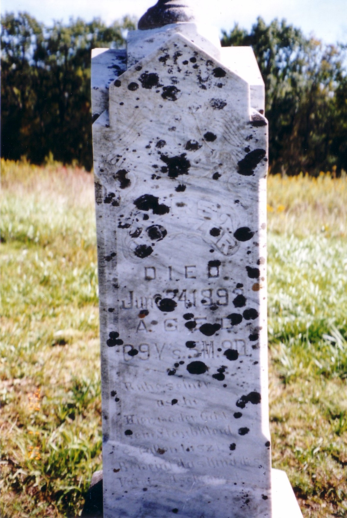 Geneaogical Records for Holzer et. al.